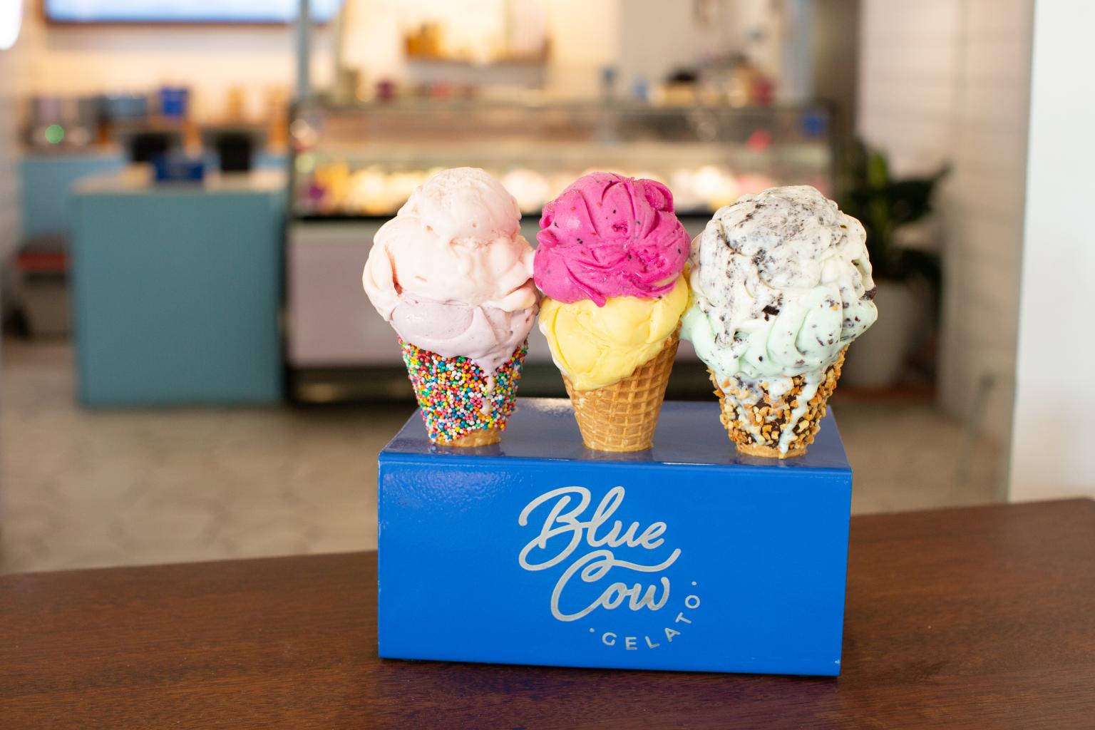Explore Our Gelato & Sorbet Flavours | Blue Cow Gelato - Blue Cow Gelato